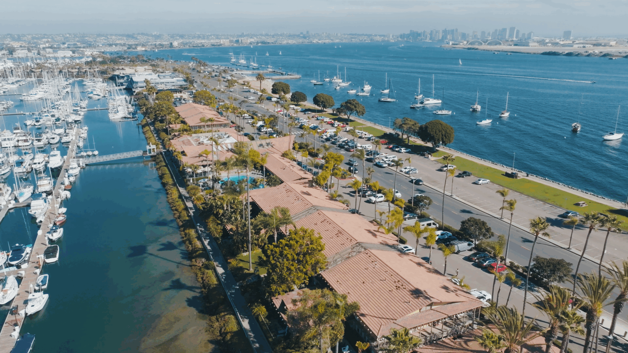 Valentine's Day at Blue Wave Bar & Grill - Best Western Plus Island ...